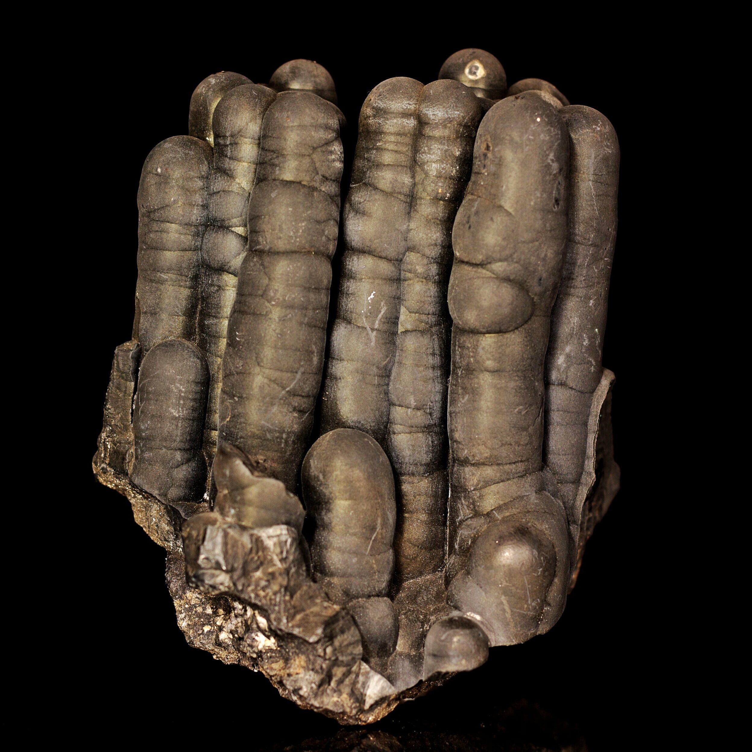 Pirolusita – MM Gerdau Tainacan