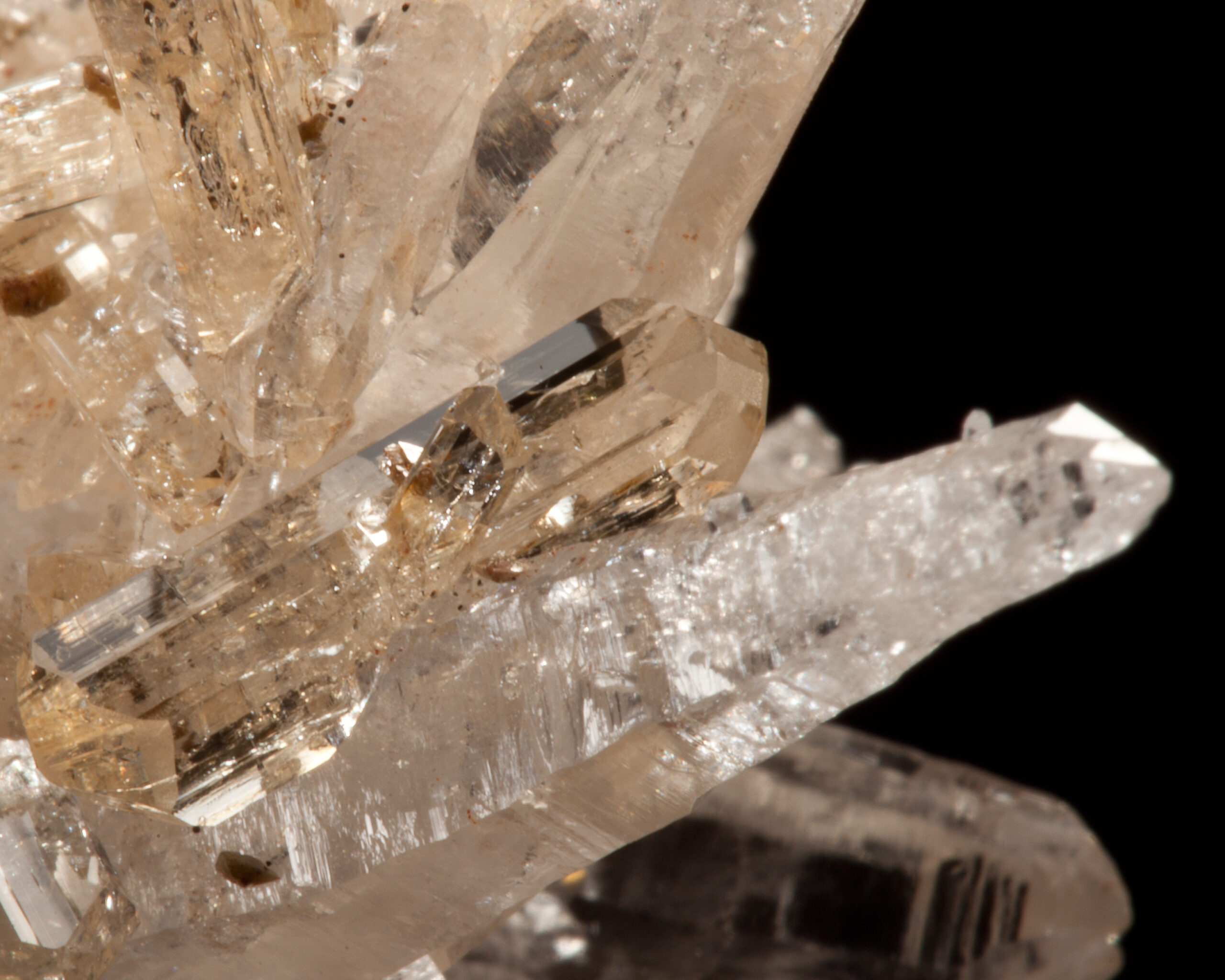 TOPÁZIO no Quartzo – MM Gerdau Tainacan