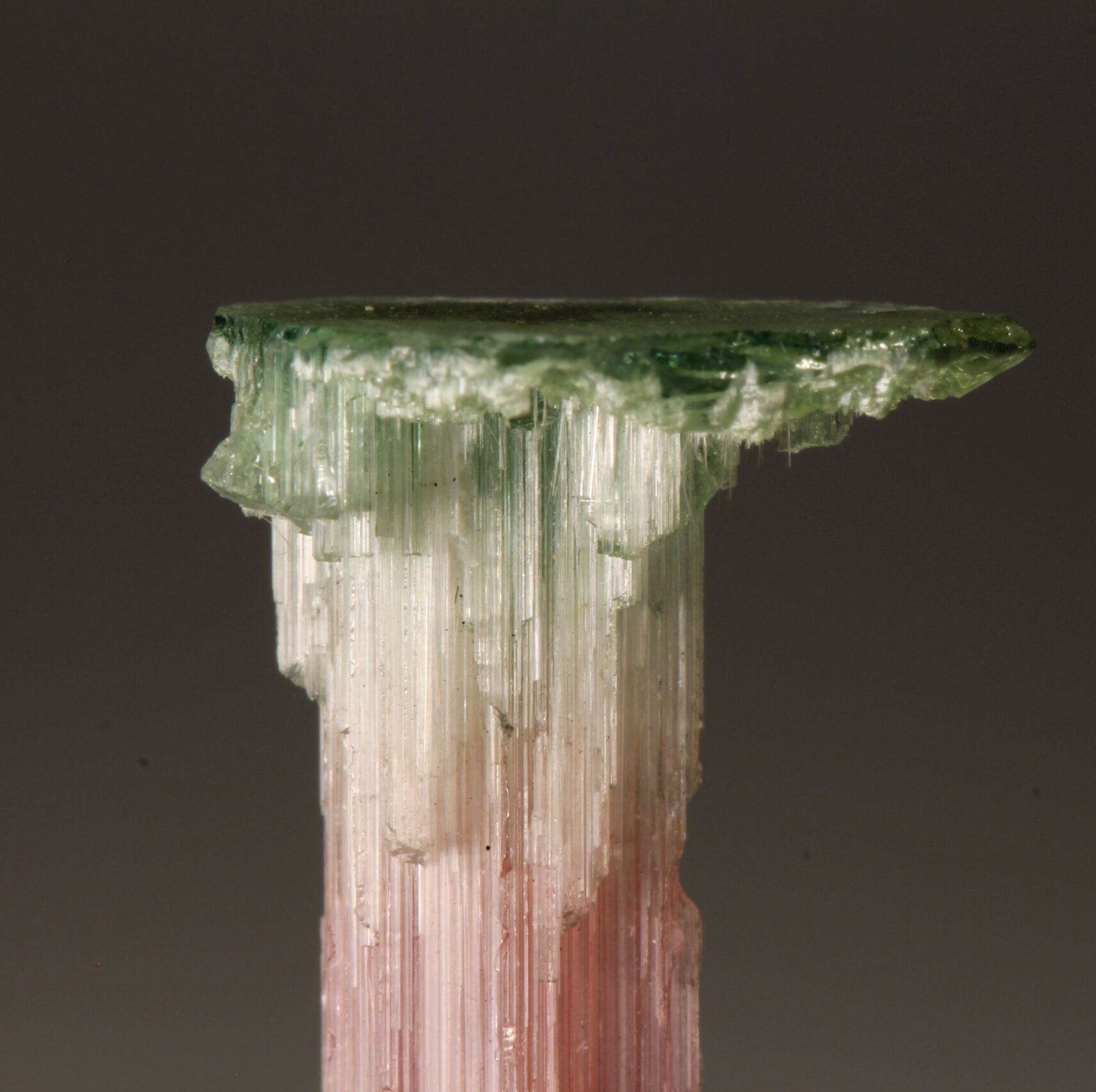 ELBAÍTA Bicolor – MM Gerdau Tainacan