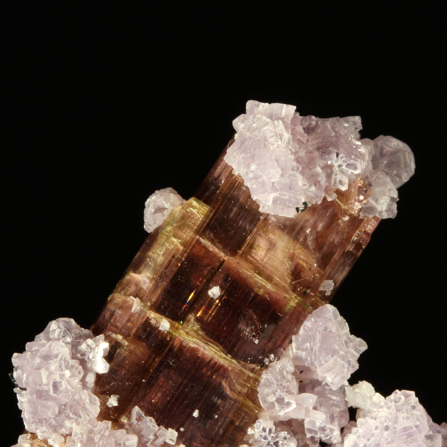 ELBAÍTA com Lepidolita, Cassiterita e Albita, Variedade: RUBELITA – MM ...