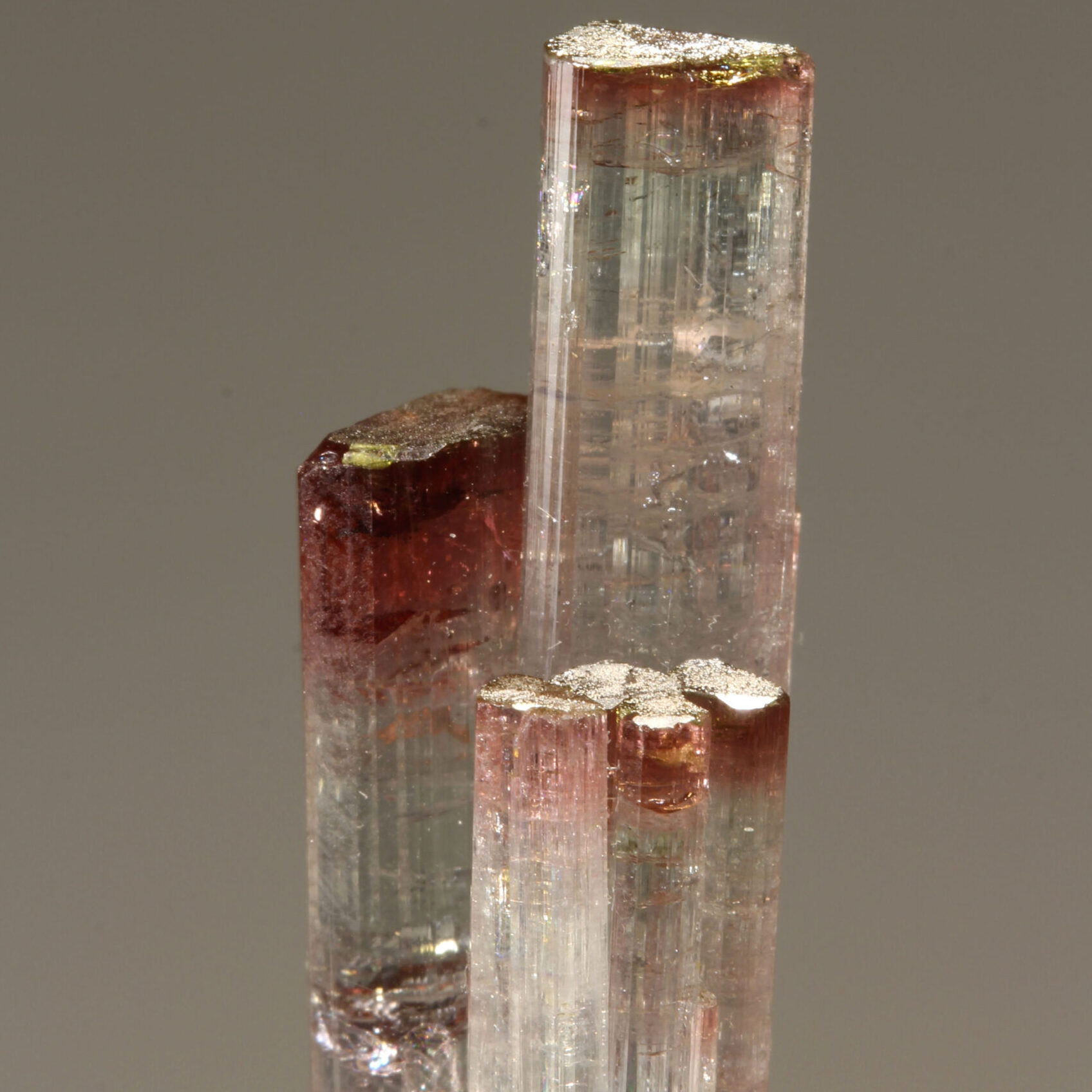 ELBAÍTA Bicolor – MM Gerdau Tainacan