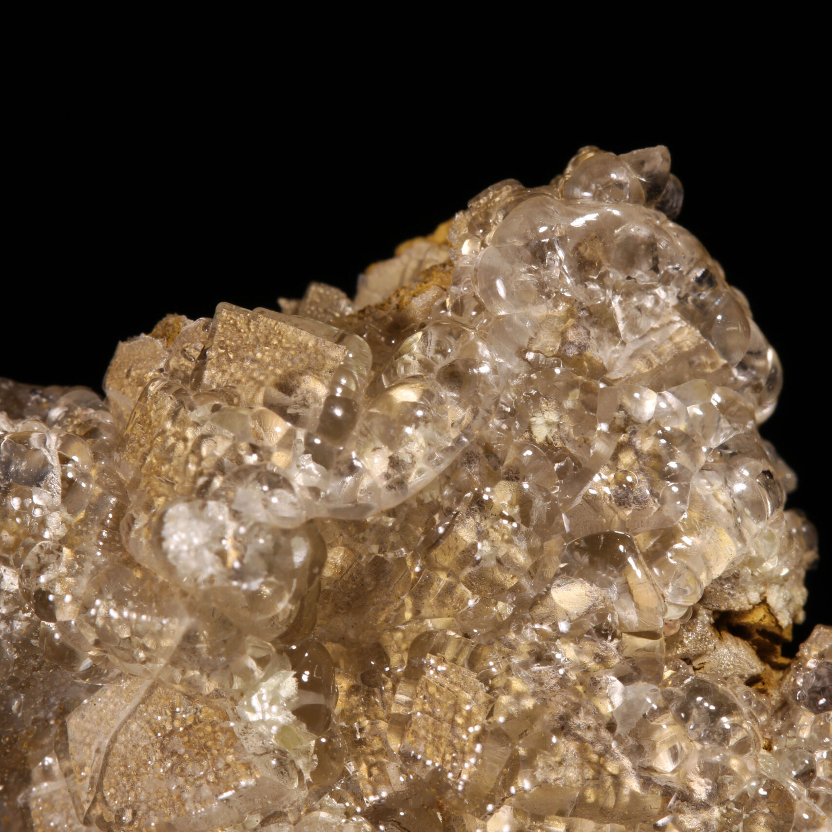 OPALA com Quartzo, Variedade: HIALITA – MM Gerdau Tainacan