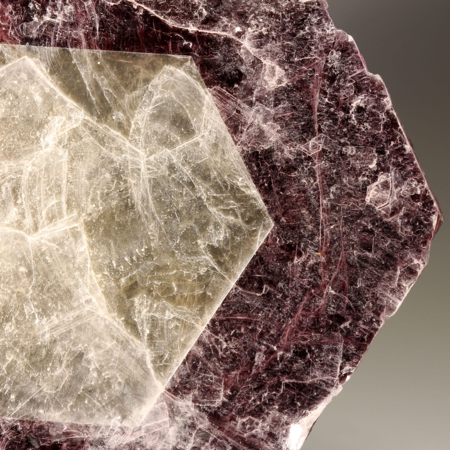 Lepidolita – MM Gerdau Tainacan