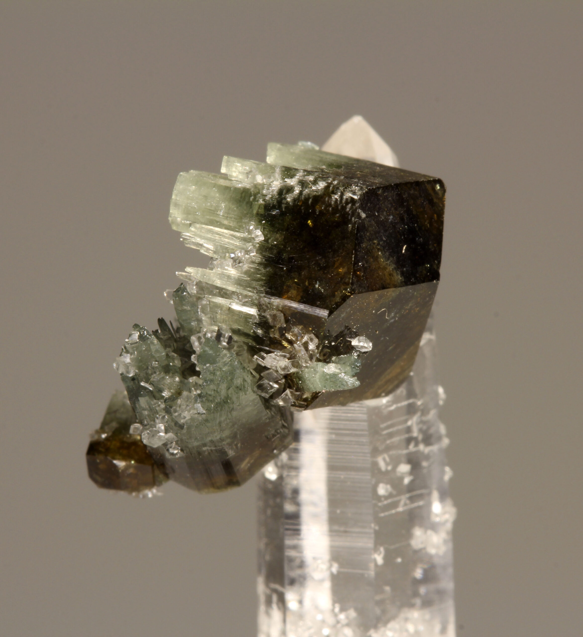 Pirofilita – MM Gerdau Tainacan